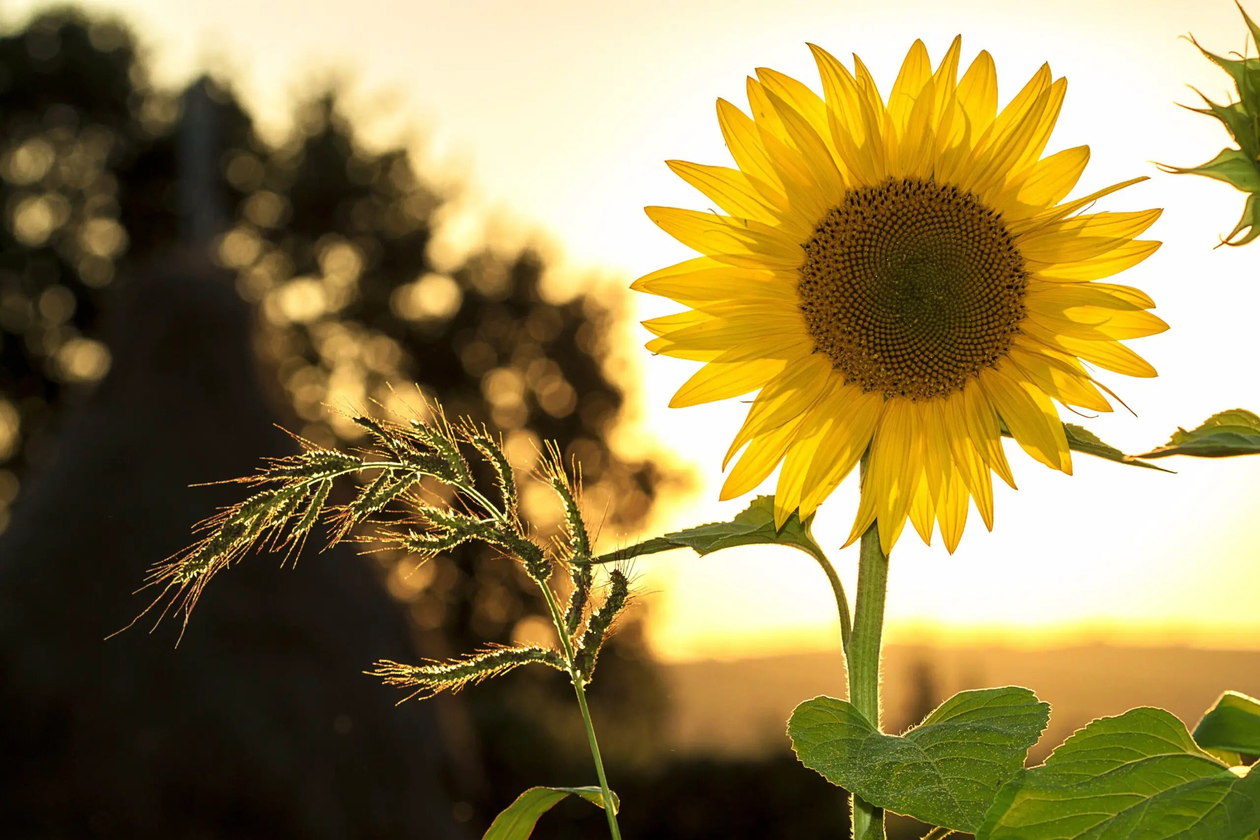 177 Motivating New Day Quotes To Begin Afresh With Positive Thoughts ...
