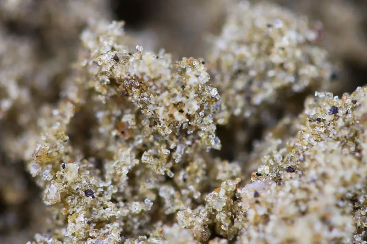 The Supreme Guide To The Stunning Sand Crystals You Need In Your Life ...