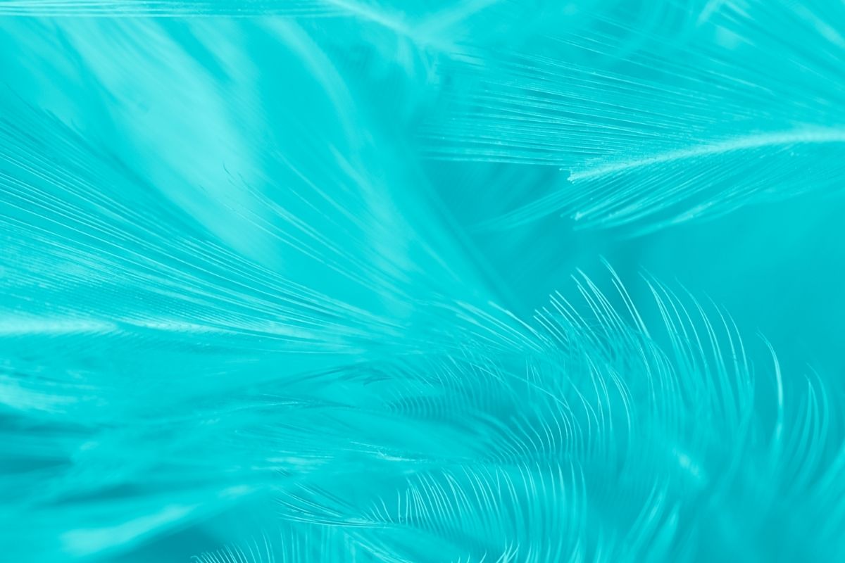 The Terrific Meanings Of The Color Turquoise – Hello-Fearless