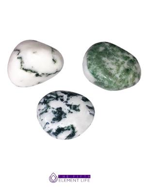 Tree Agate: Meanings, Powers & Crystal Properties – Hello Fearless
