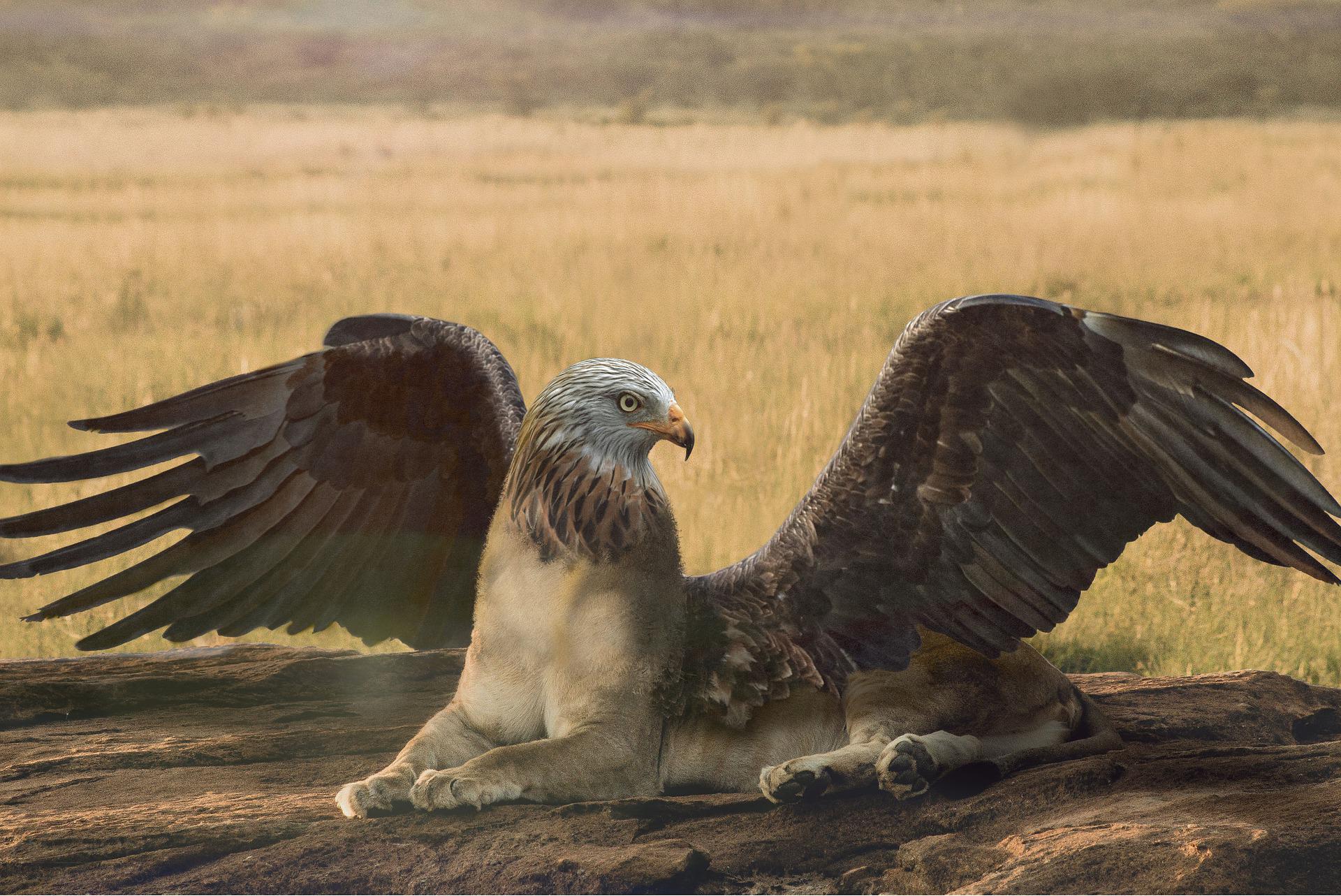 Griffins In The Soul - Understanding Their Spiritual Significance And ...