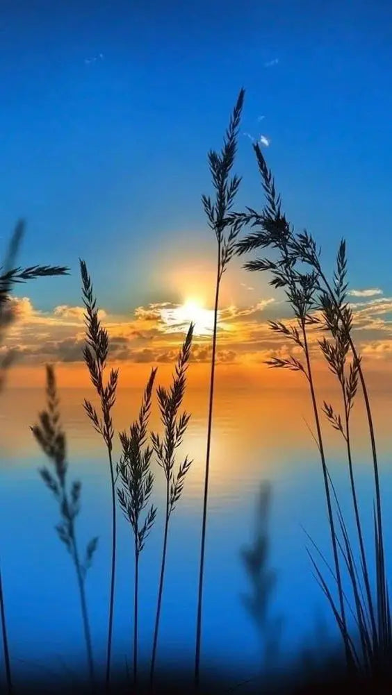 152 Lovely November Quotes To Inspire Quiet Within The Soul – Hello ...